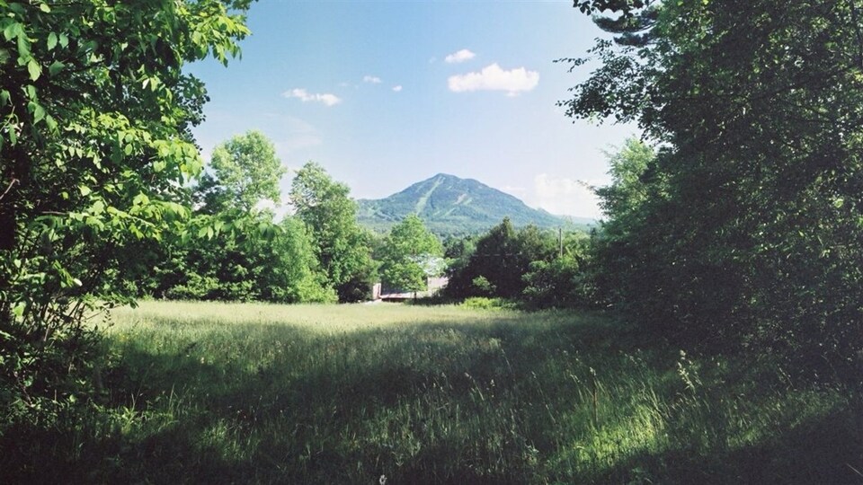 Le bâtiment de services du parc de la rivière Missisquoi-Nord sera ...