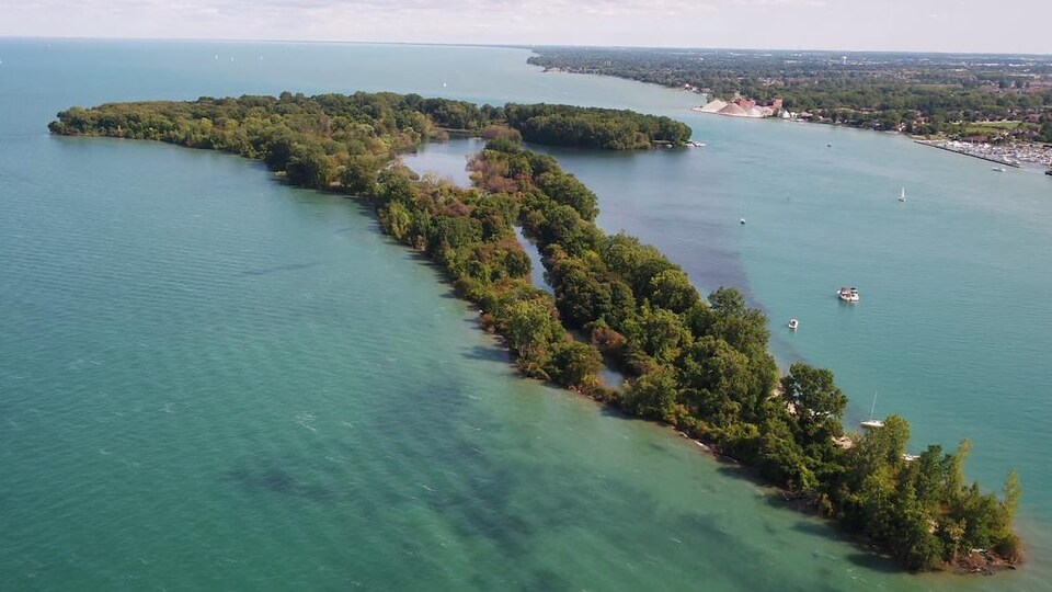 Toxicité de la rivière Détroit : l'urgence d'agir