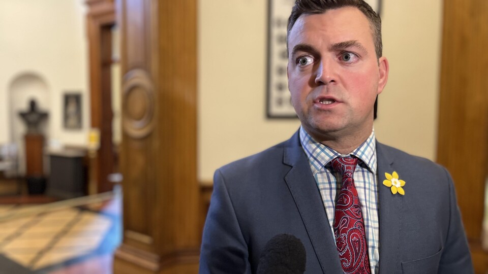 Fredericton confirme que chaque réseau de santé aura son conseil d ...