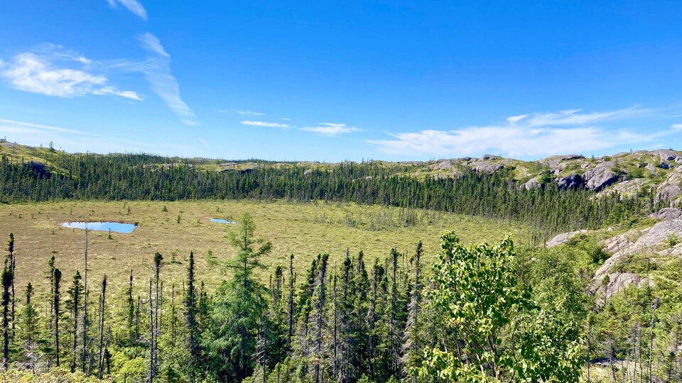Chronique plein air avec David Héroux