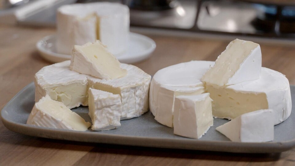 Le succès se poursuit pour l'entreprise The cheese bar