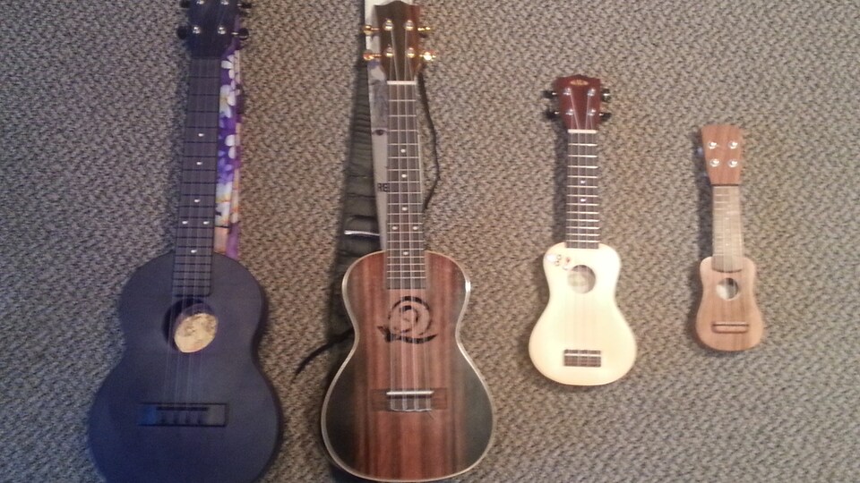 Le projet de Mylène Paquette : apprendre à jouer... du ukulélé!