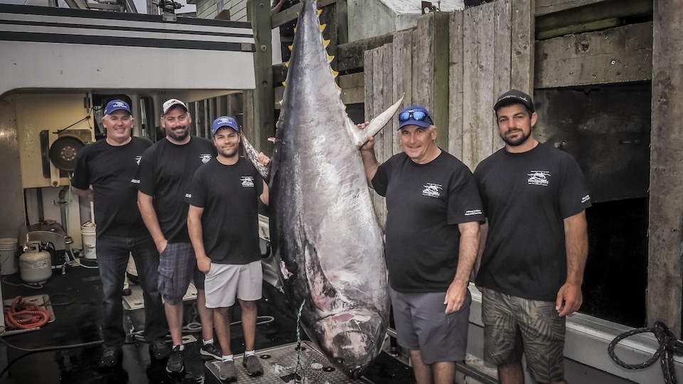 Un thon de 716 livres pêché au tournoi de Wedgeport