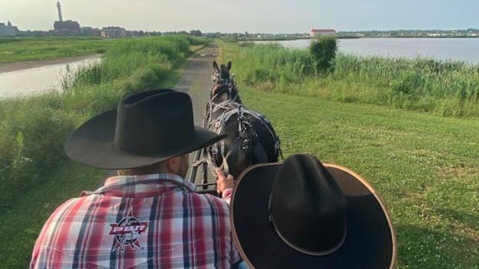 Des promenades en calèche sur le sentier riverain à Riverview