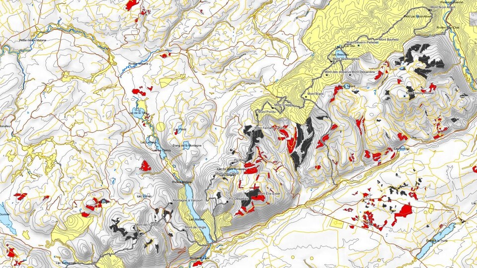 Coupes forestières sur les sommets des Chic-Chocs : le MFFP corrige le ...