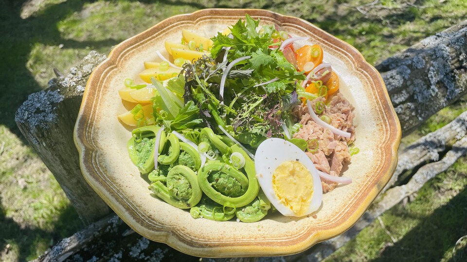 Les jeudis gourmands de Simon : salade niçoise aux têtes de violon
