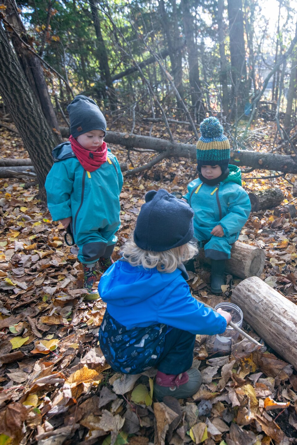 L’éducation des tout-petits par dame Nature | Radio-Canada.ca