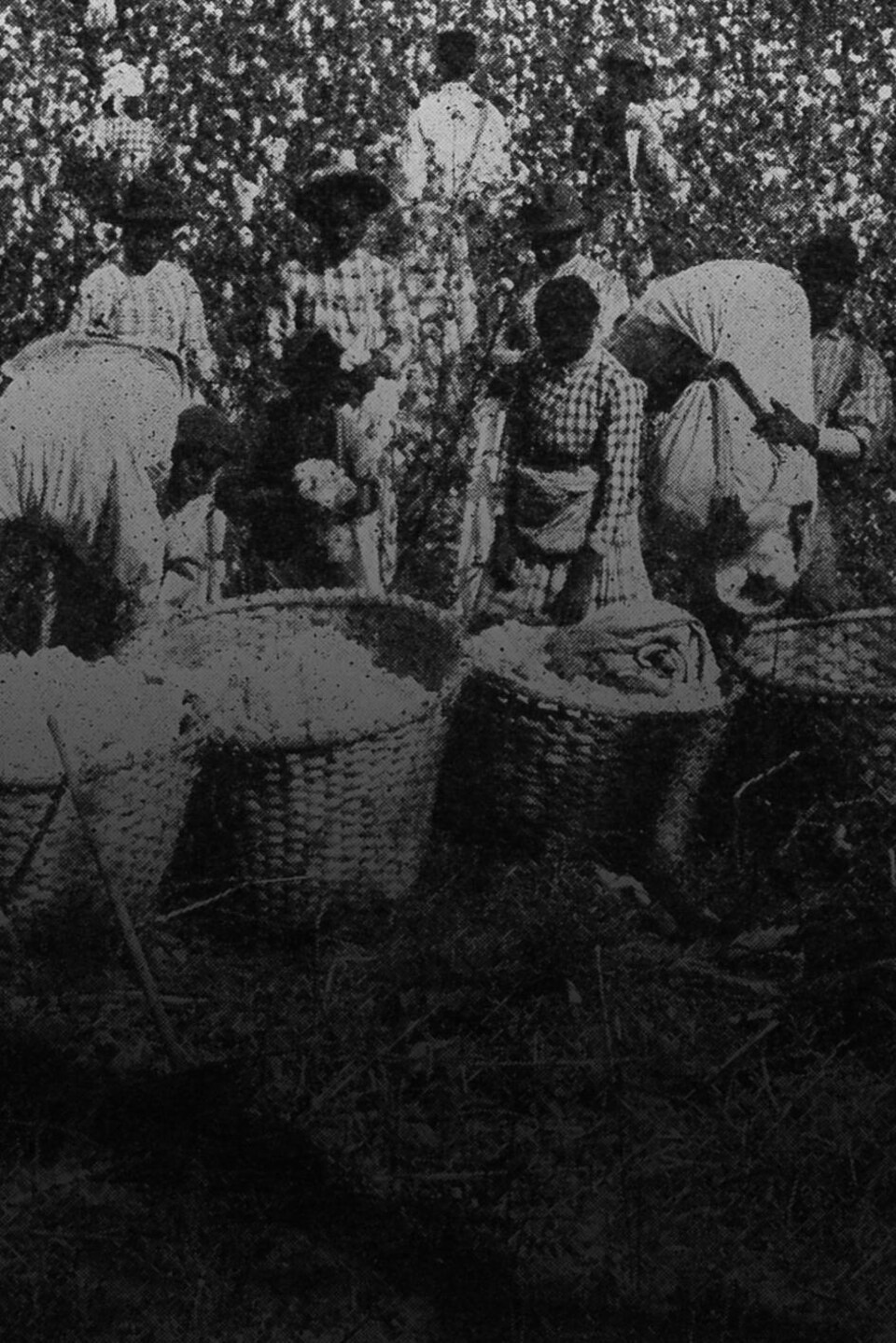 Fugitifs!, l’histoire des esclaves en fuite | Radio-Canada.ca