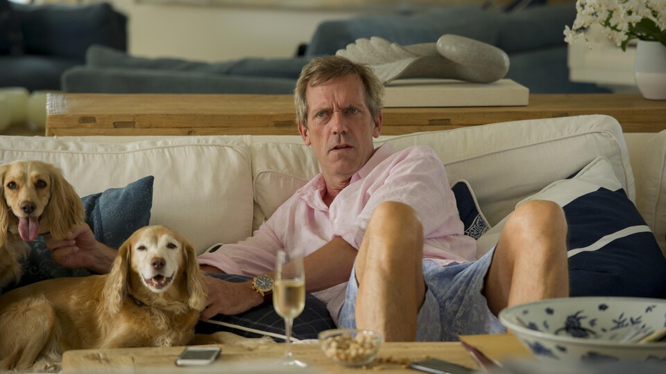 Les liens qui unissent l'humain et le chien 1re partie