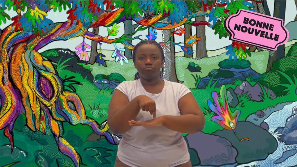 ICI Télé | Radio-Canada