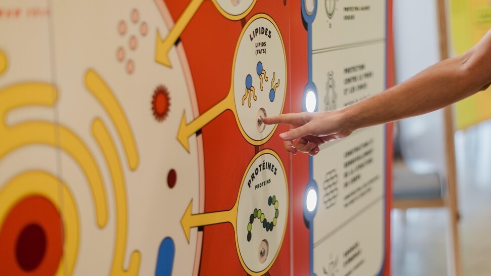 Une exposition amusante pour manger sans penser aux calories | Mordu