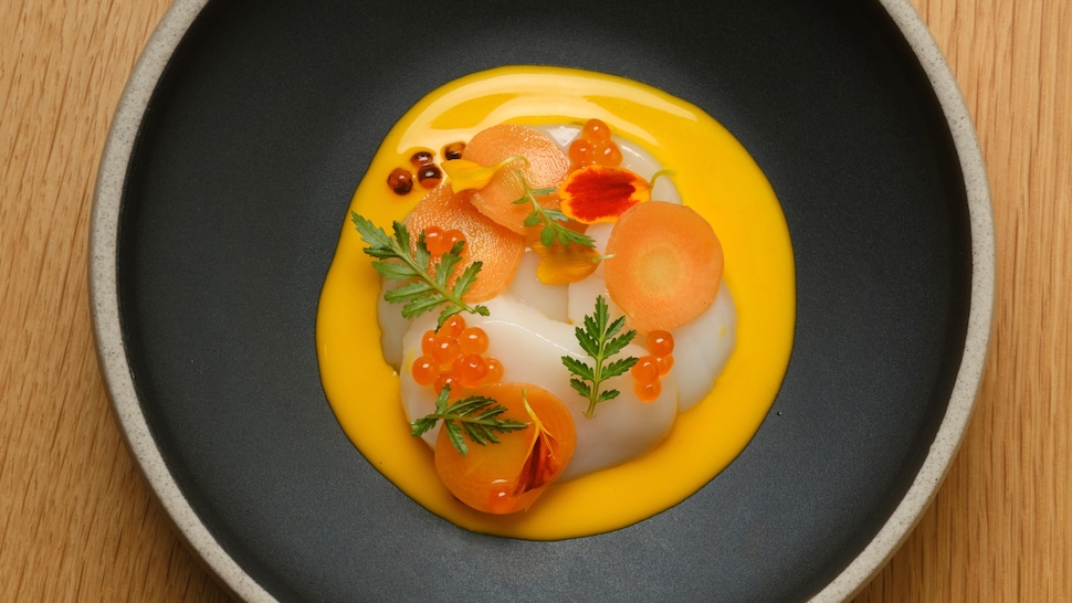 13 étoiles au Guide Michelin | Mordu