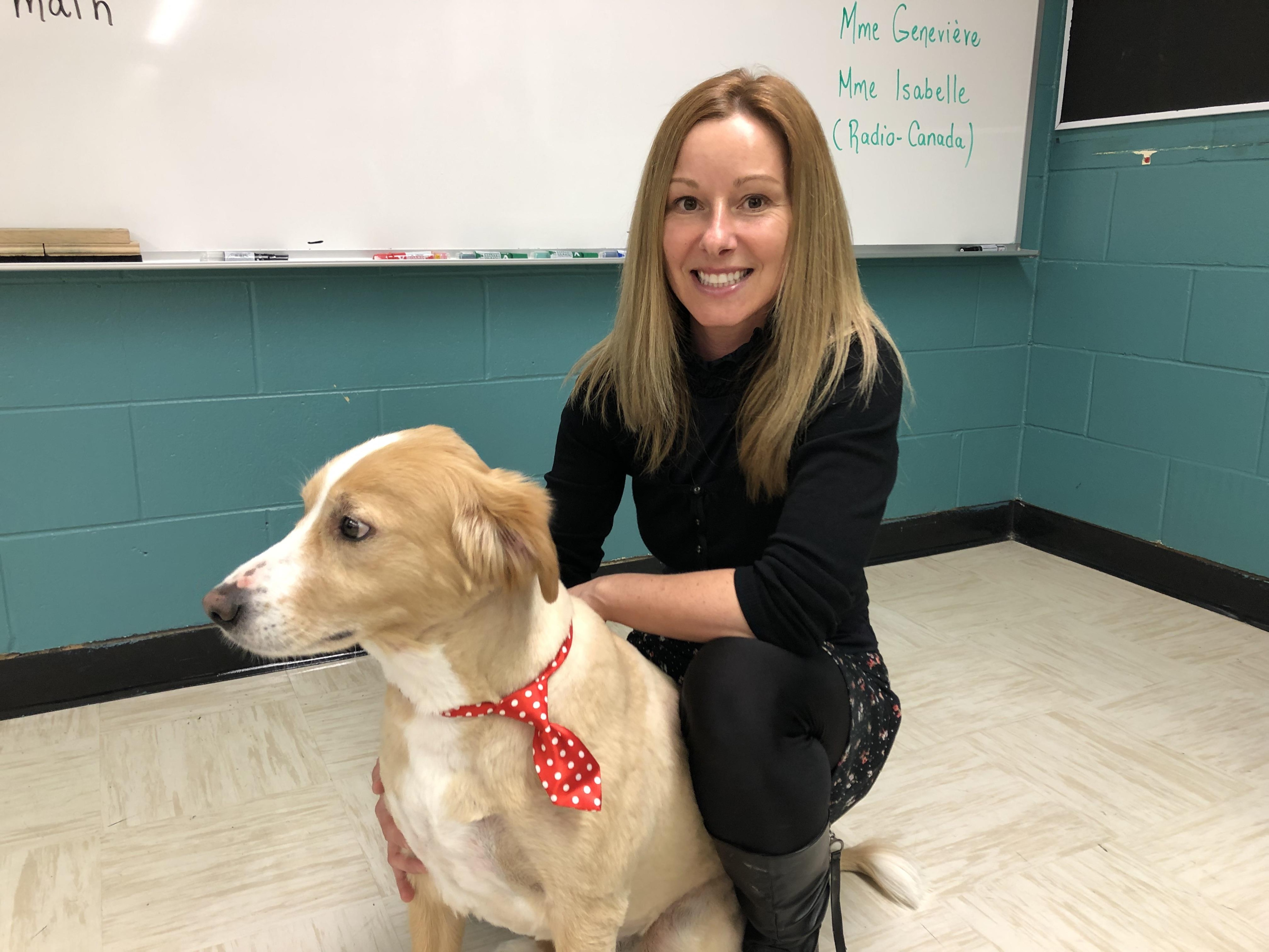 Tango, un chien bienfaiteur à l'école aux Quatre-Vents de Bonaventure ...