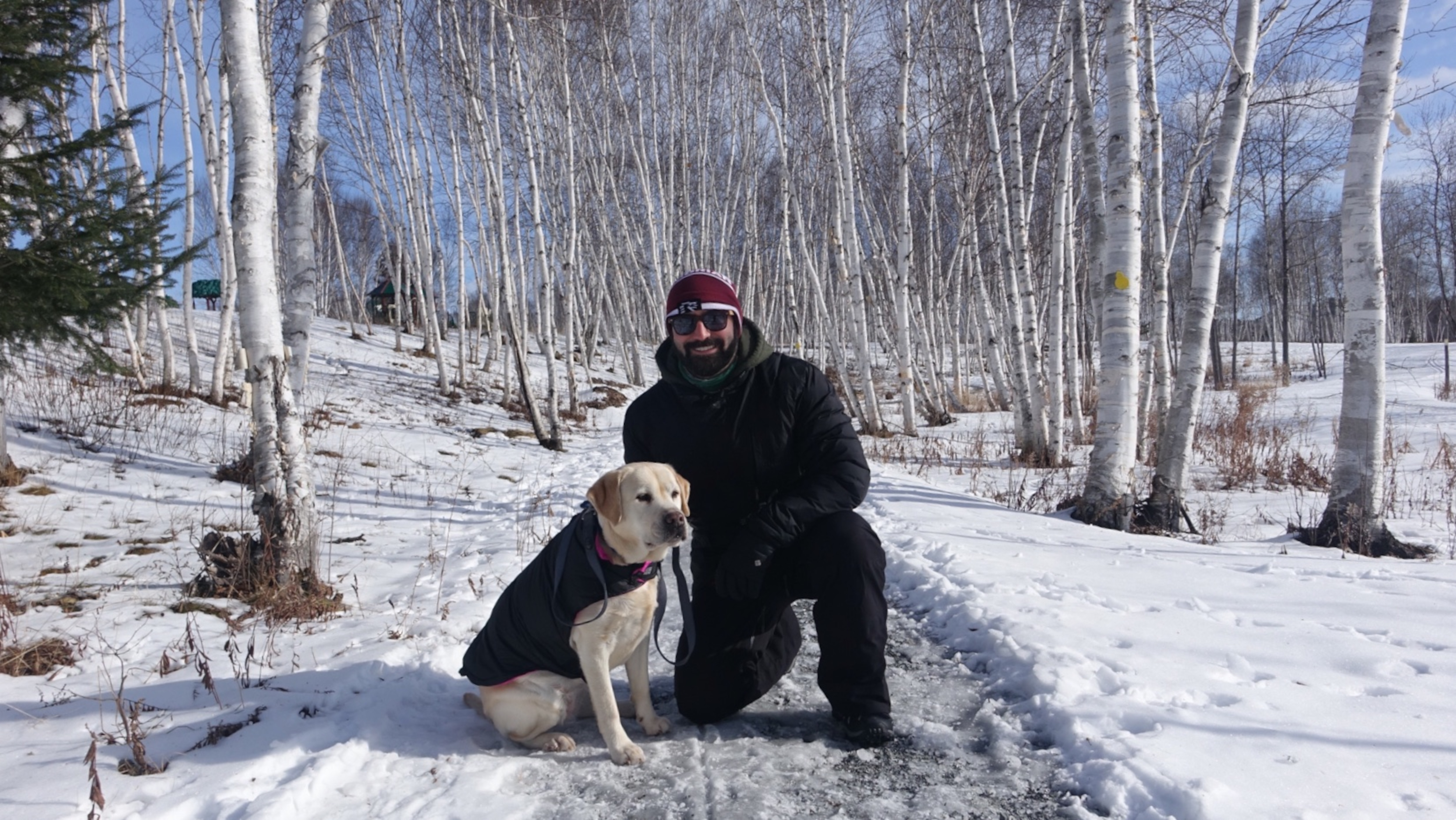 Une ode à l'hiver | OHdio | Radio-Canada