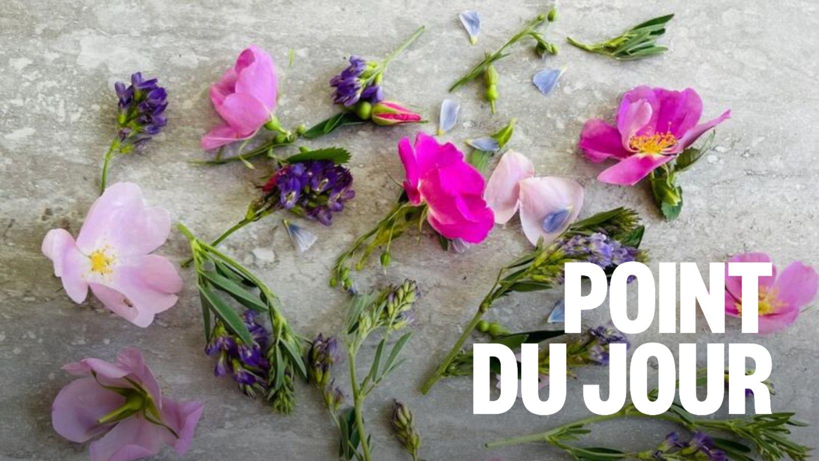 Prendre sa place face au système médical avec Marie-Clo | OHdio | Radio ...