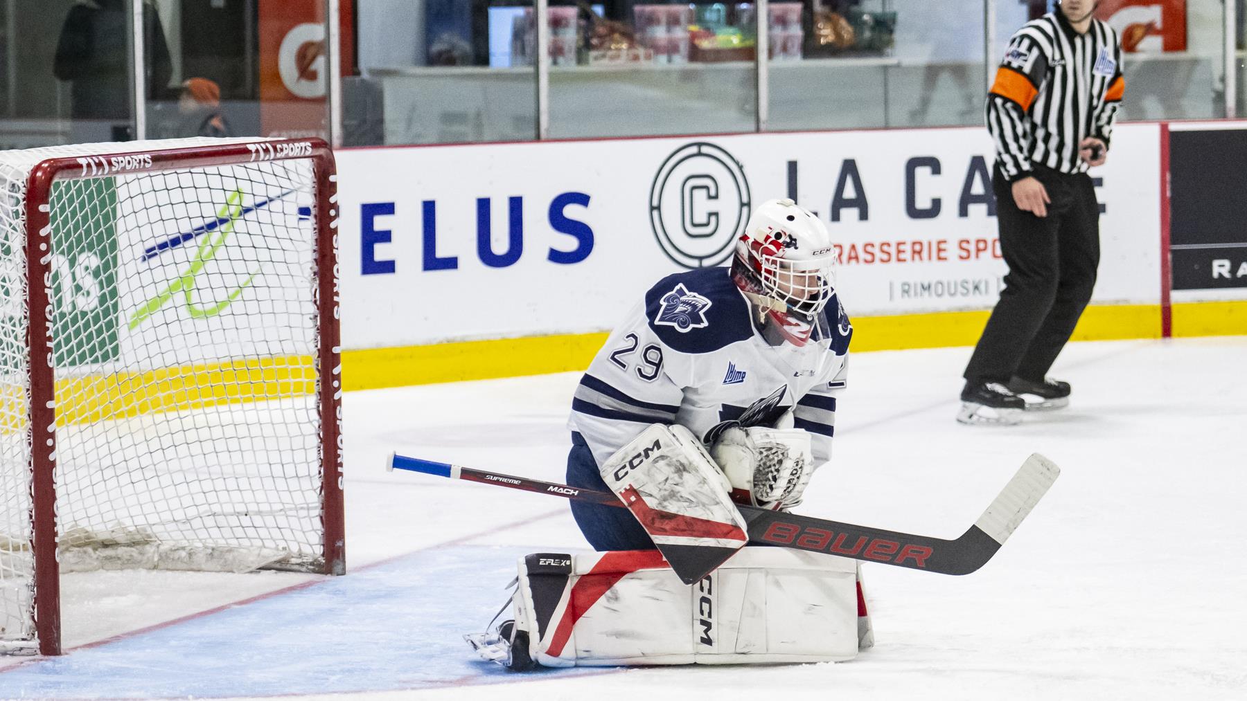Quentin Miller, choix des Canadiens de Montréal, entame une saison ...