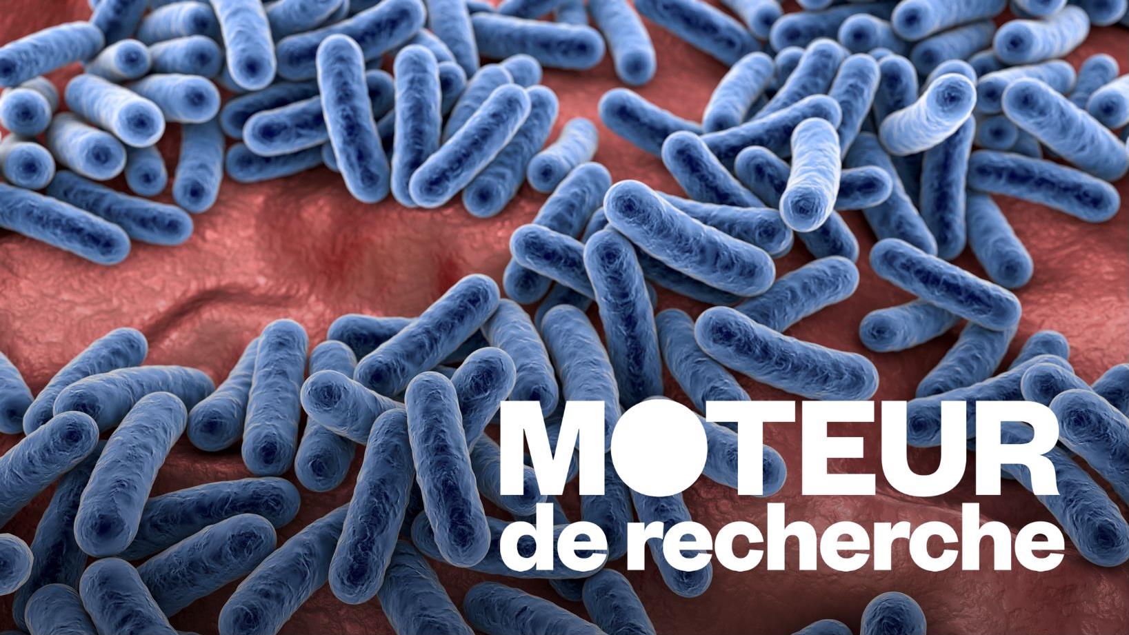 Le microbiote buccal, un véritable festin de microbes aux pouvoirs ...