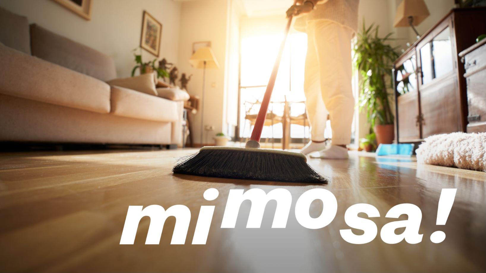 Louise Deschâtelets : le grand ménage de printemps et ses nombreux ...