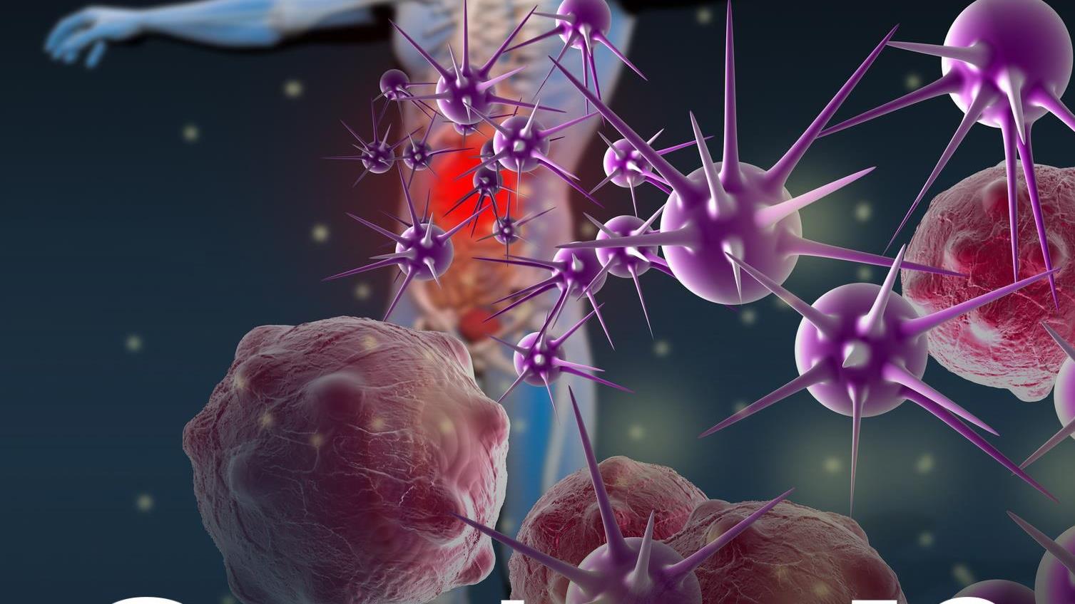 COVID-19 : une mémoire immunologique se développerait avec le temps ...