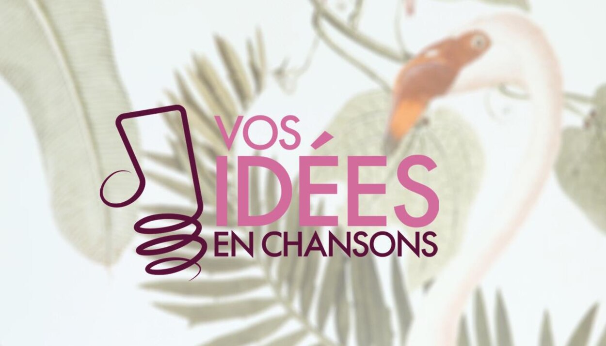 Vos idées en chansons, une série de capsules musicales | Radio-Canada