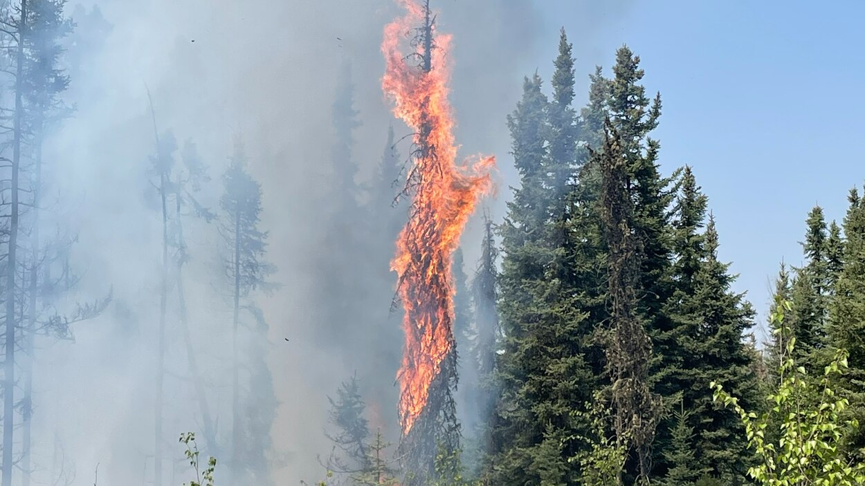 Alberta wildfire season nagsimula nang maaga | Radio-Canada.ca