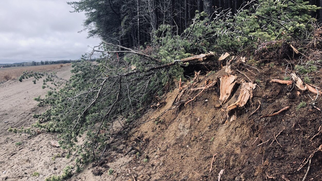 La SQ dévoile l’identité des victimes de la violente collision à Saint ...