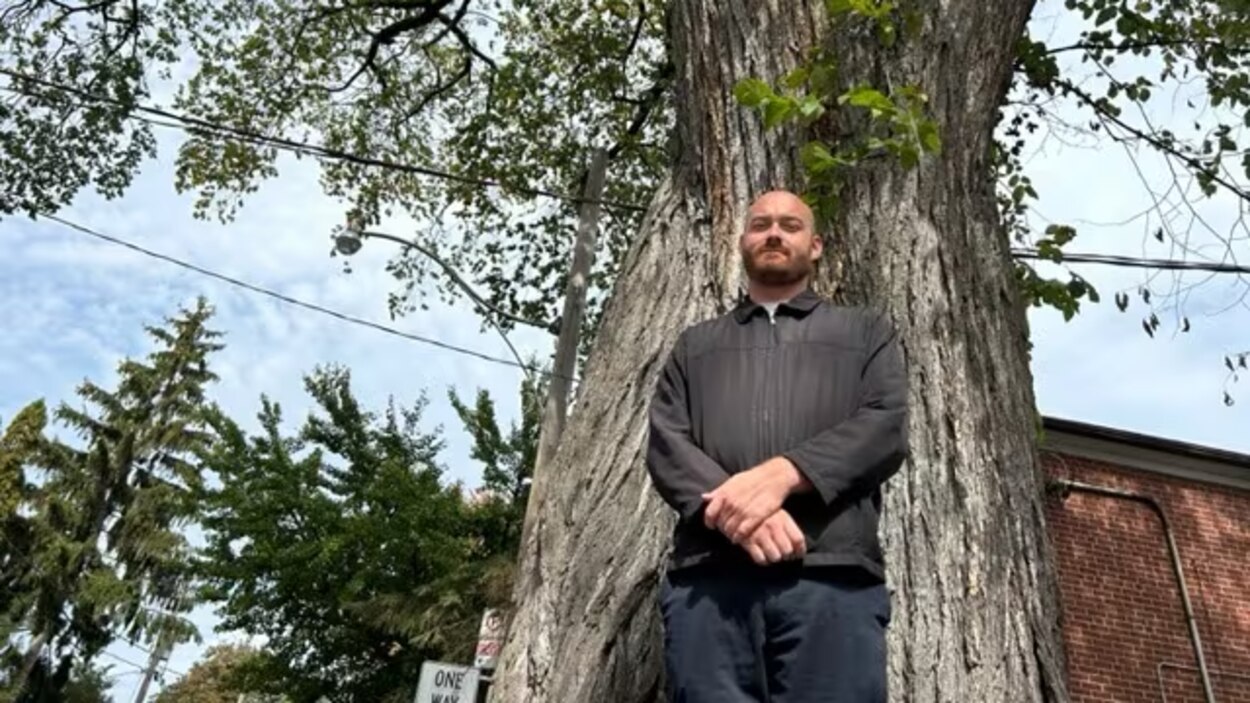 Des Torontois veulent obtenir une désignation patrimoniale pour un ...