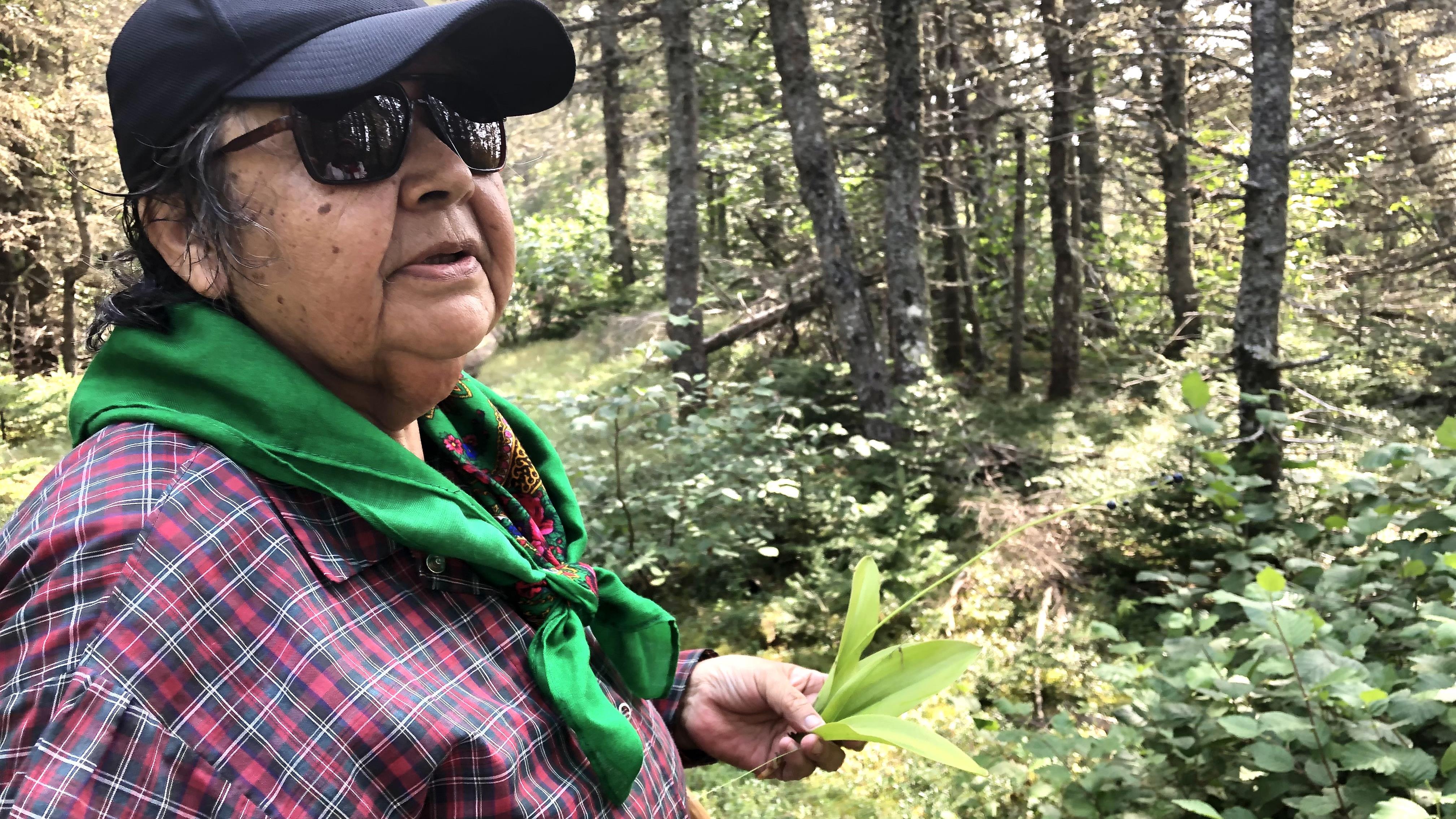 Marcher dans les traces des Anciens, de Nutashkuan à Natashquan