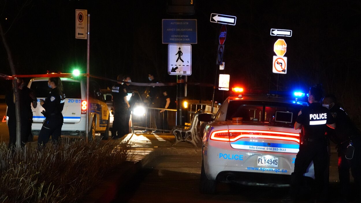 Un homme blessé lors d'une altercation dans le parc du Mont-Royal ...
