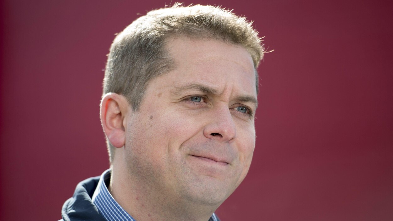 Andrew Scheer reconnaît qu'il est « personnellement pro-vie » | Radio ...