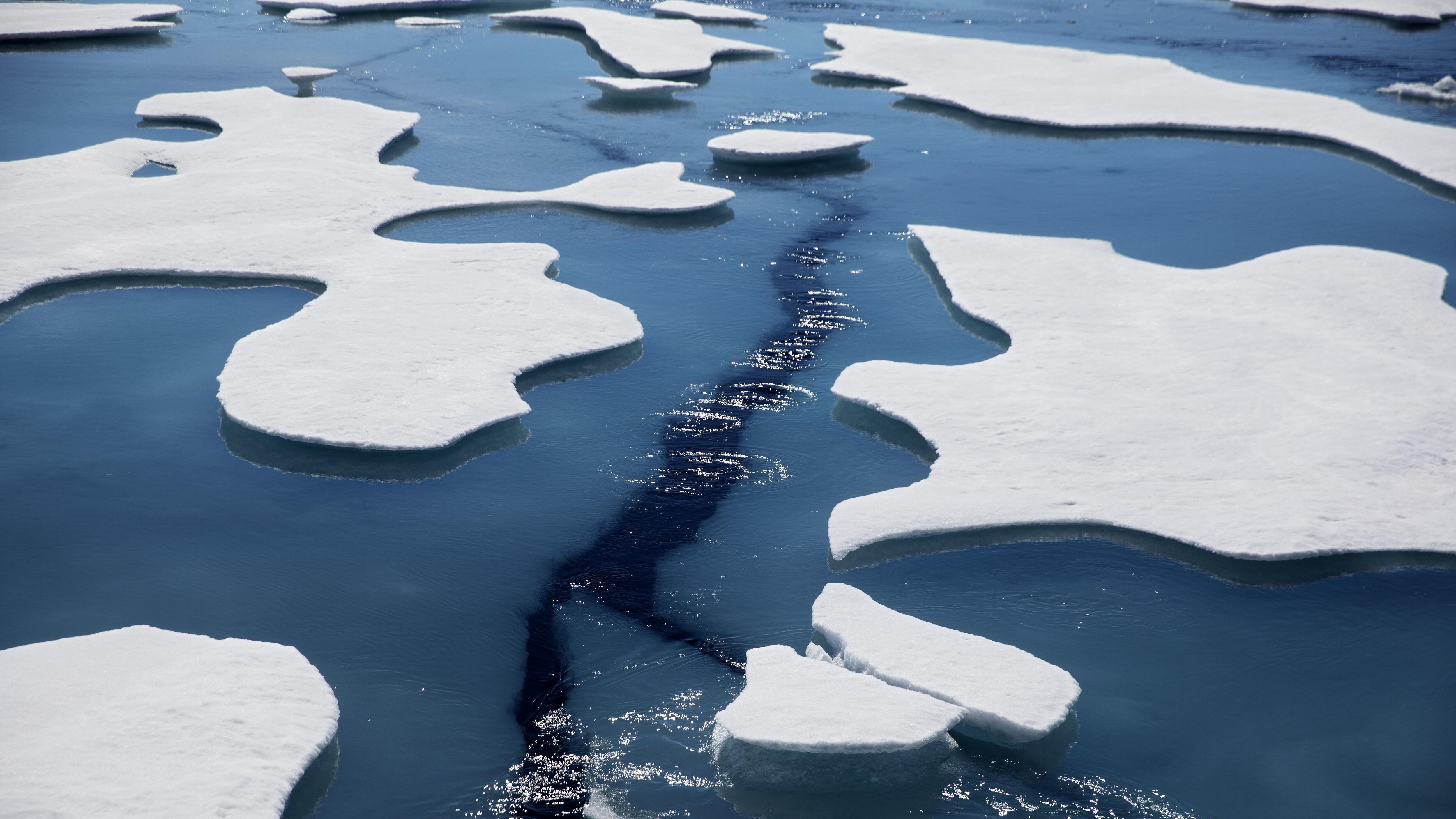 La banquise d’été de l’Arctique continue à rétrécir | OHdio | Radio-Canada