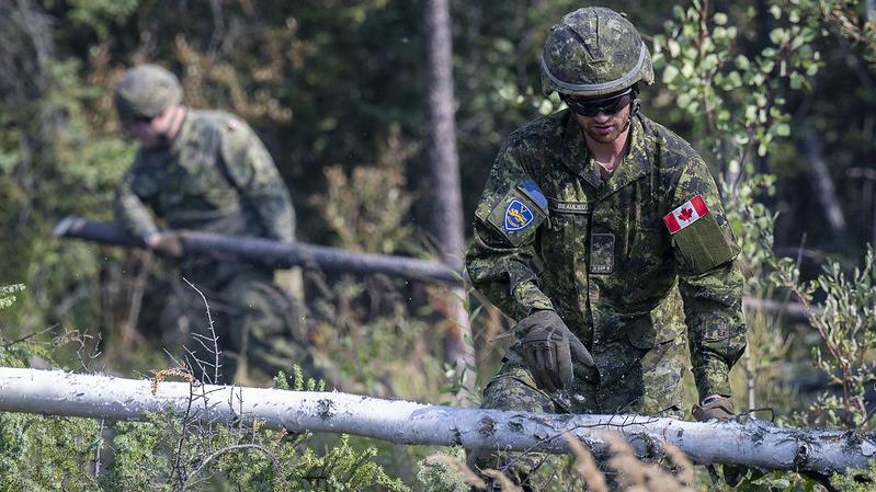 Plus de 300 soldats se joignent à la lutte contre les feux aux T. N.-O ...