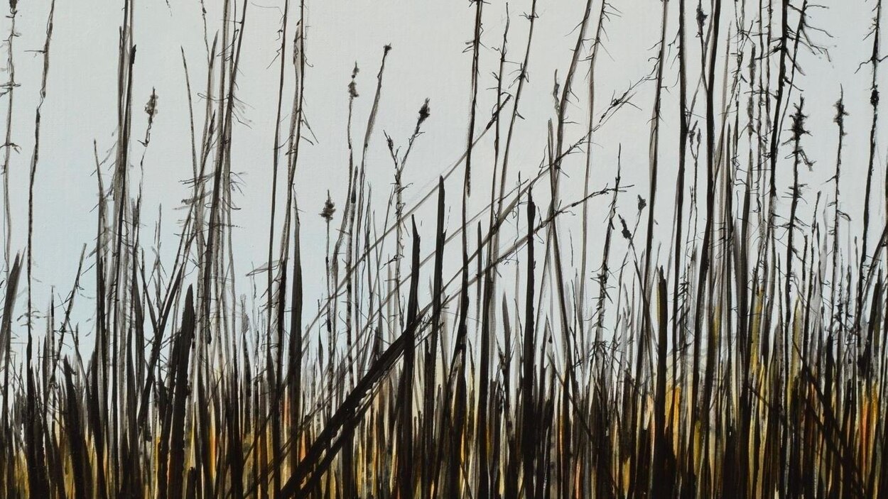 Après 72 ans sous le nom de Saskatchewan Arts Board, l'organisme ...