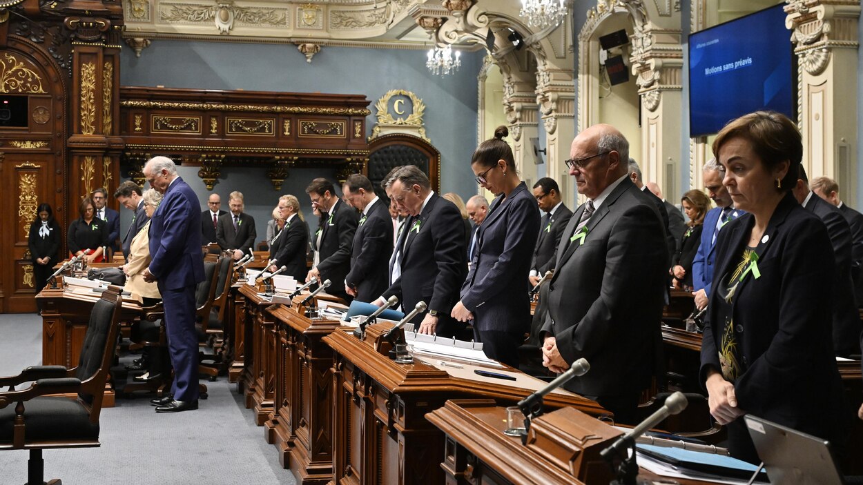 Une motion sur le conflit en Israël divise à Québec | Radio-Canada