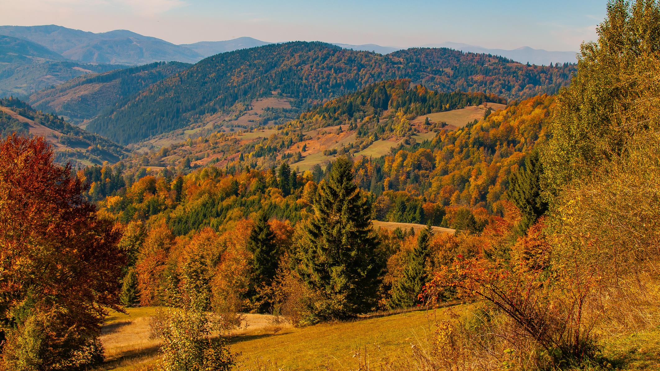 Les meilleurs endroits pour admirer les couleurs d'automne au Bas-Saint ...