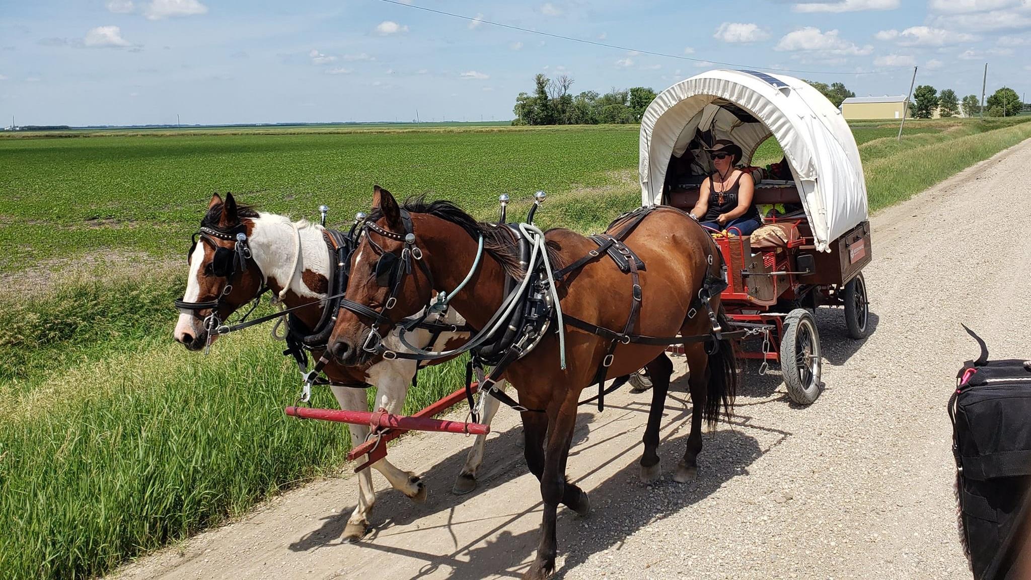 L’aventure d’une vie pour des passionnés de chevaux | OHdio | Radio-Canada