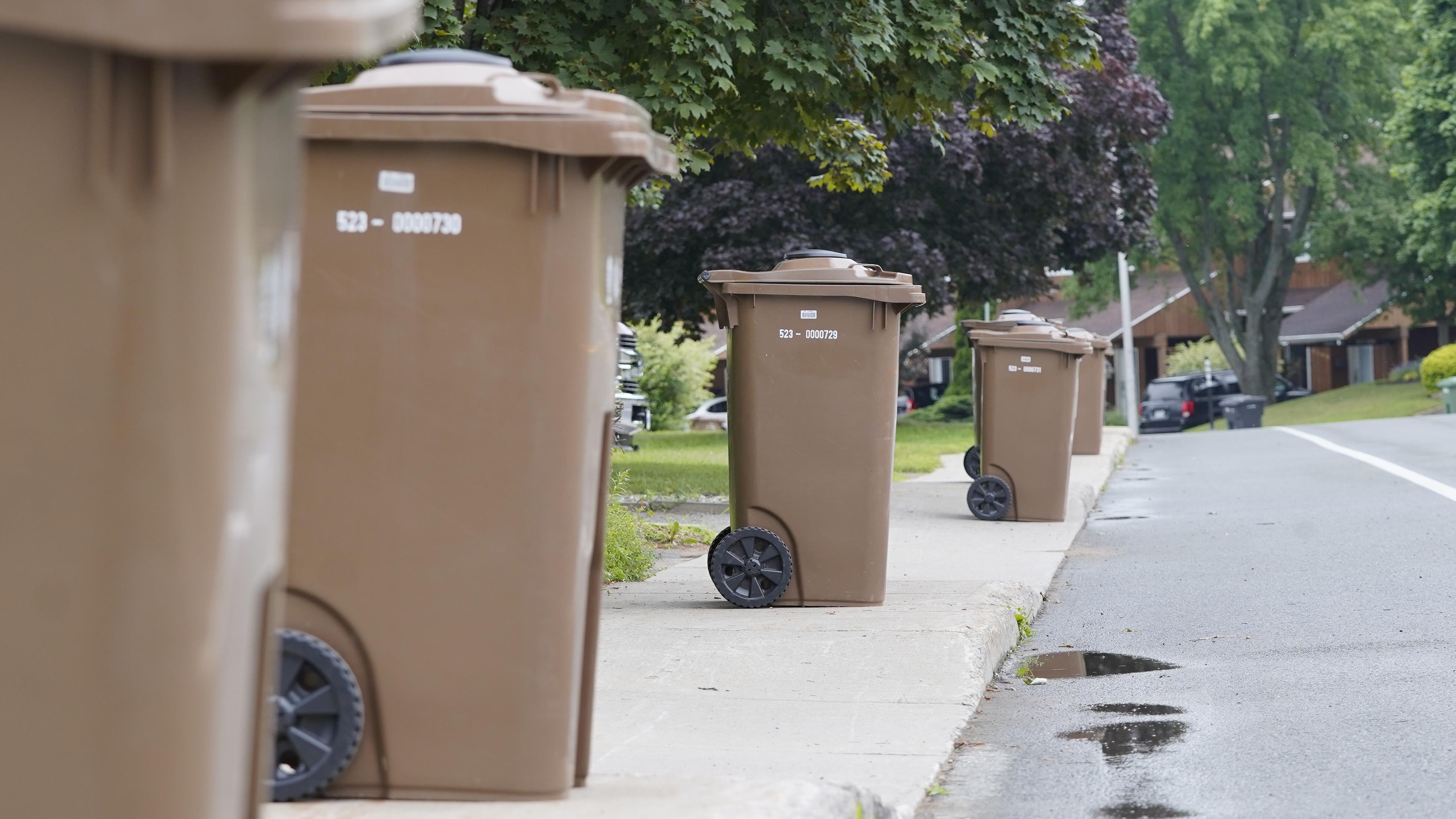 Trucs et astuces pour le bac brun en été | OHdio | Radio-Canada