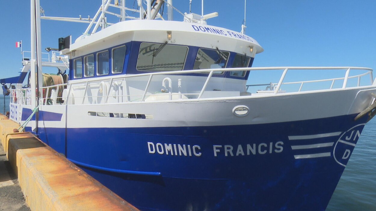 Après des mois d'attente, les crevettiers prennent la mer | Radio-Canada