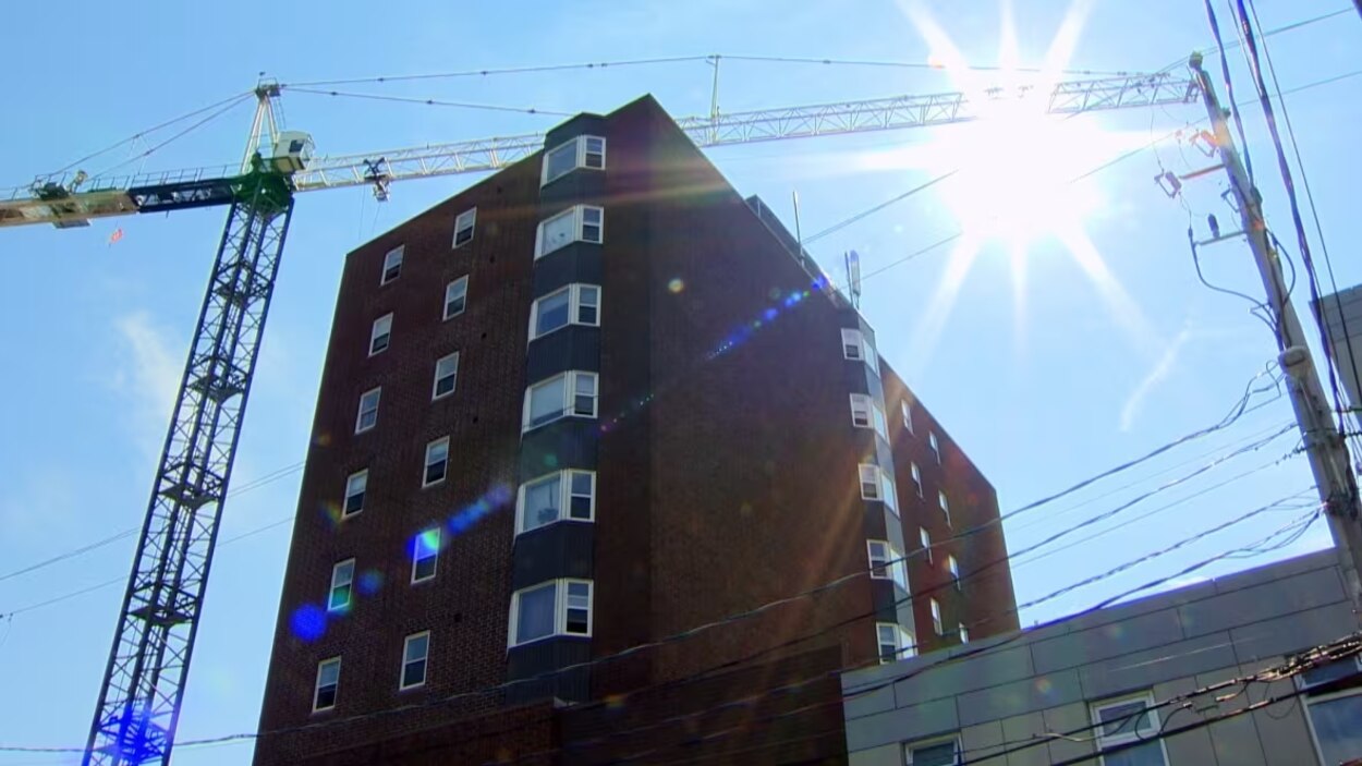 Des locataires de logements sociaux d’Halifax consternés par le manque ...