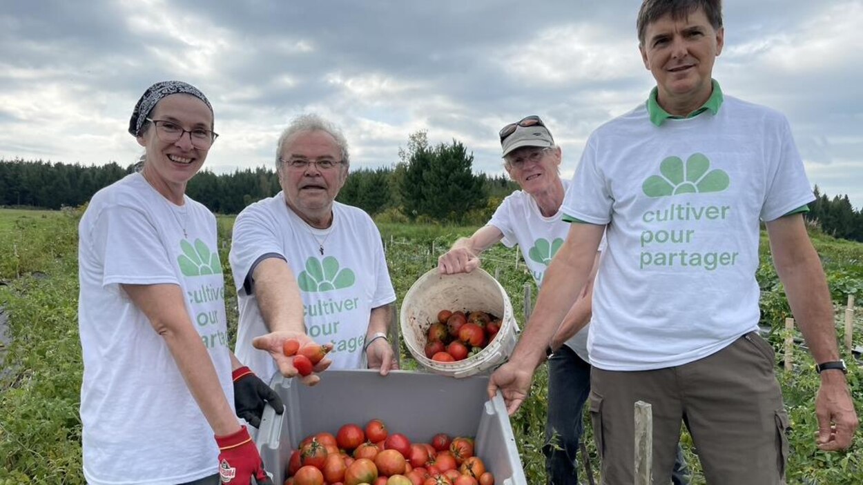 Cultiver pour partager : une initiative beauceronne pour lutter contre ...