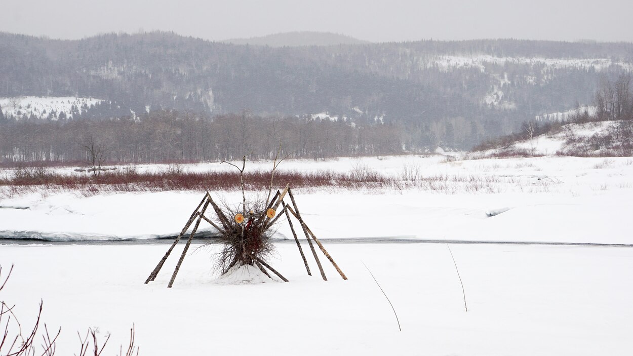 La bibitte qui annonce la fin de l’hiver | Radio-Canada