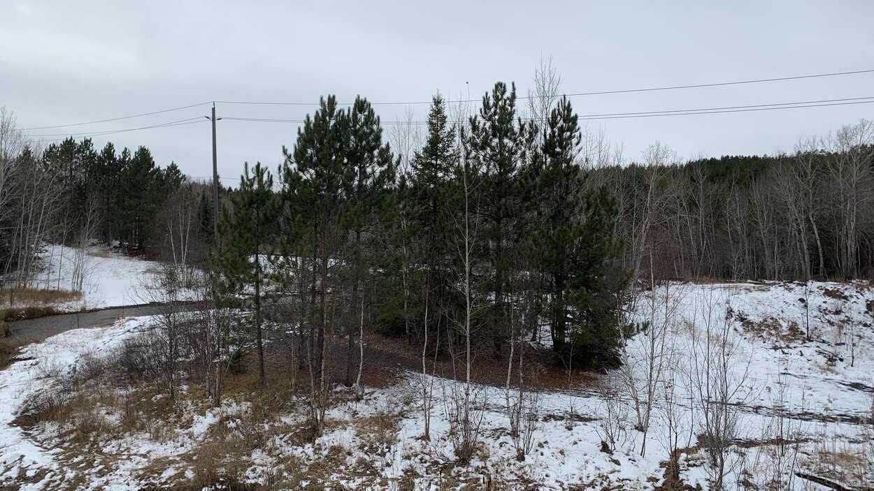 Violence conjugale : une tragédie à Sudbury ravive les appels à l ...