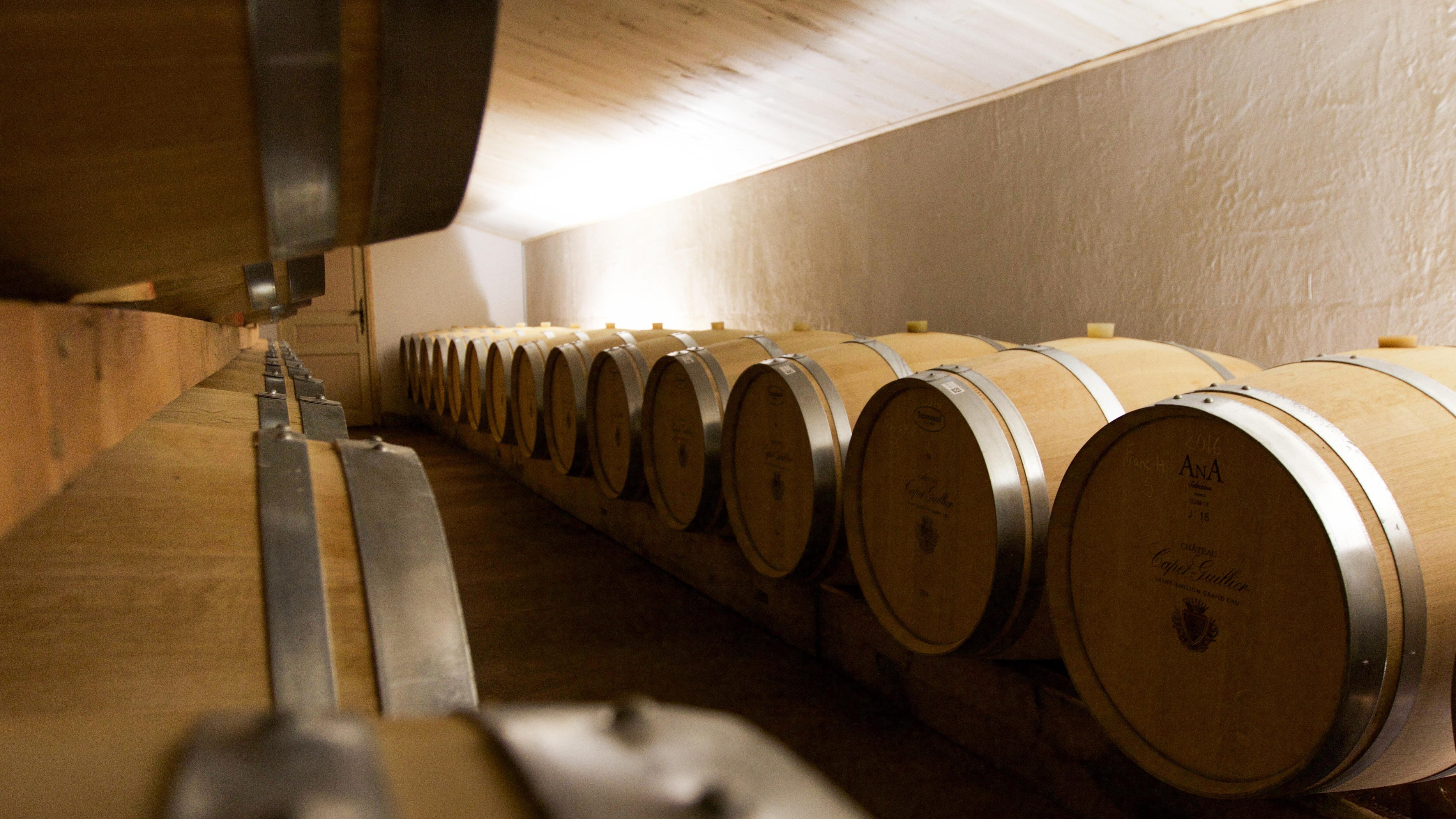 Chronique vin de Bernard Martel : du bran de scie dans votre vin ...