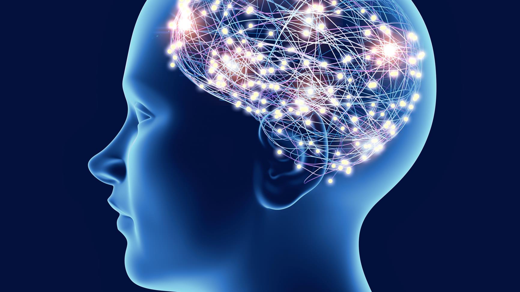 Le développement du cerveau, c'est complexe et fascinant! | OHdio ...