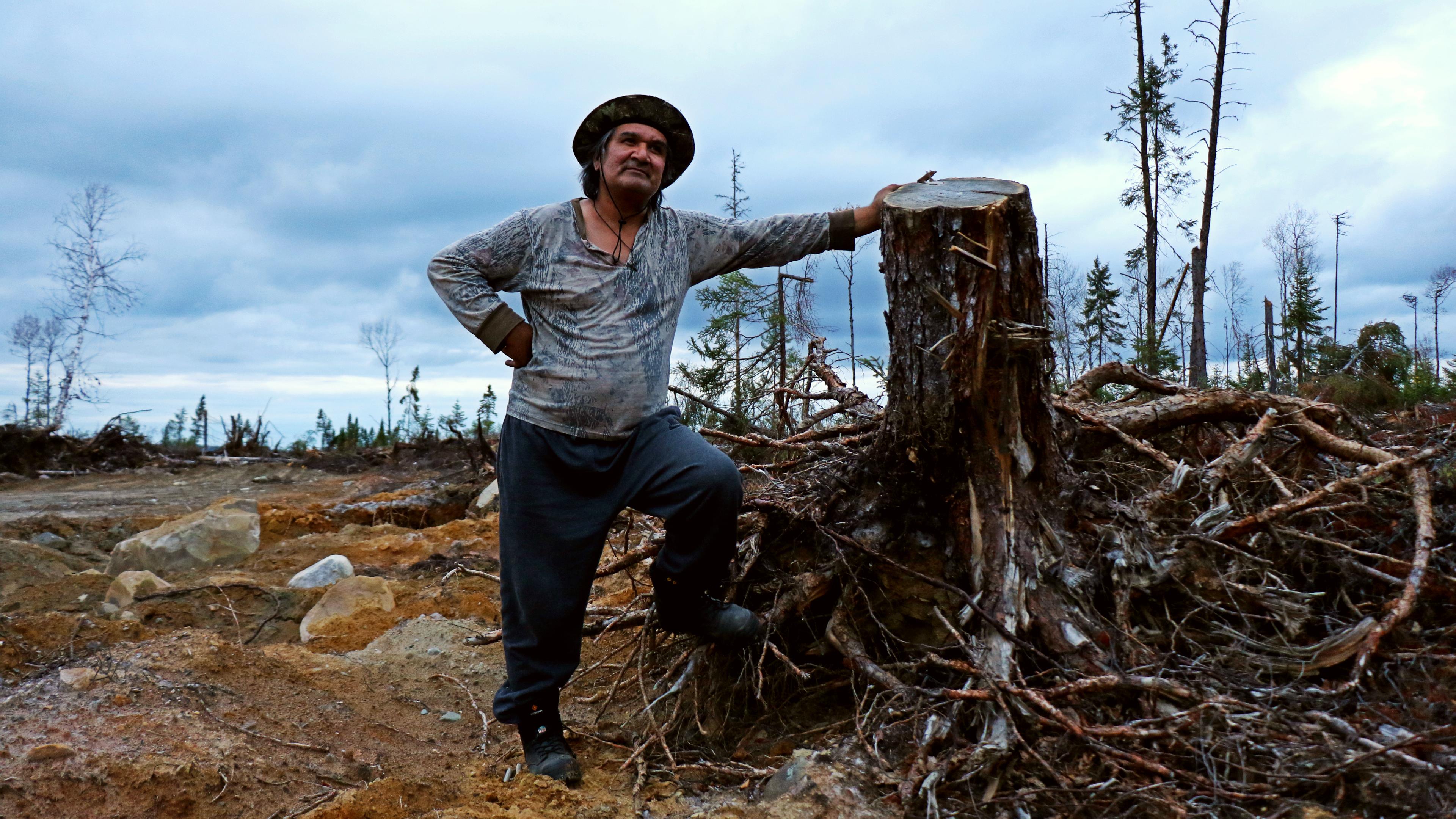 Coupes forestières : le ras-le-bol des Atikamekw | Radio-Canada.ca