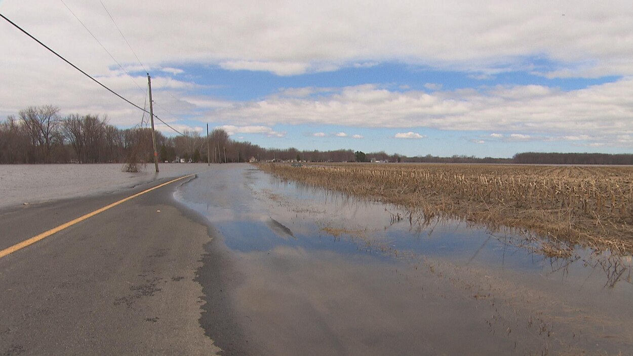 Les inondations causent des maux de tête aux agriculteurs | Radio-Canada