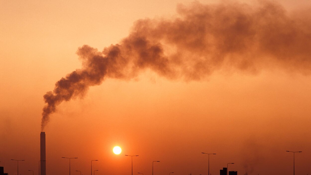 L'écoterrorisme est-il un réel danger au Canada? | Radio-Canada