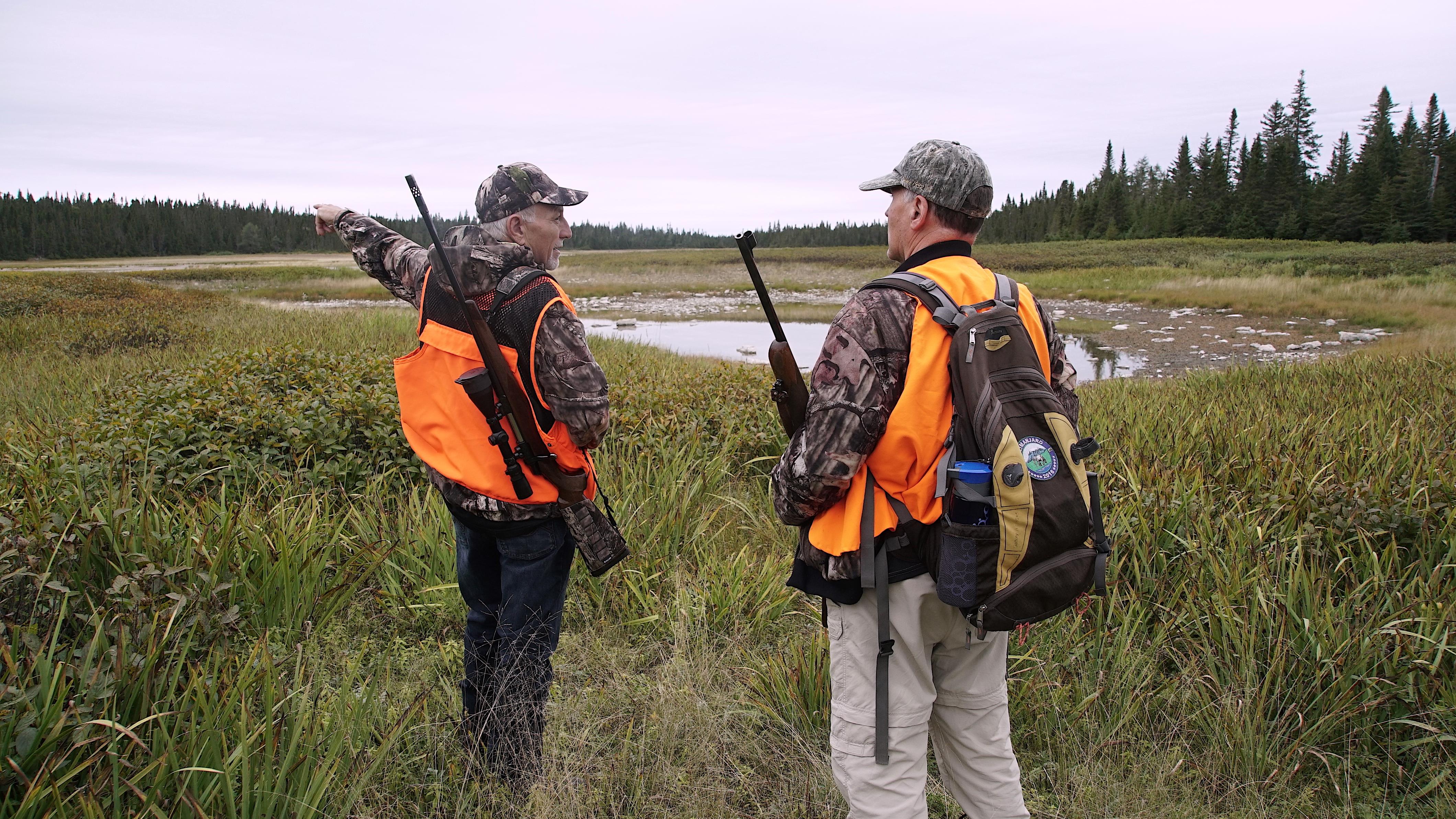 Boire une bière durant la chasse ne sera pas interdit | OHdio | Radio ...