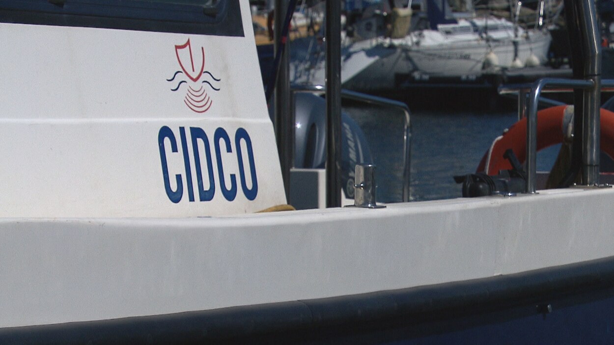 Le CIDCO ouvre ses portes au public pour célébrer ses 20 ans | Radio-Canada