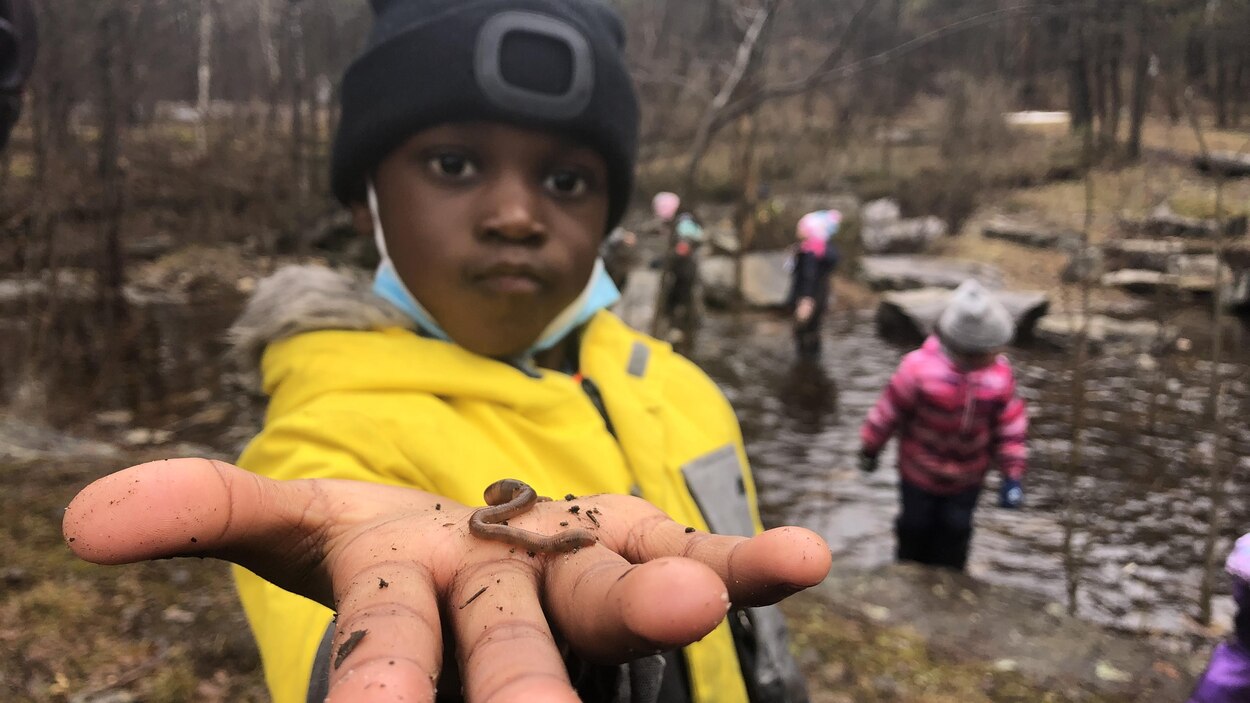 Une vingtaine de classes nature mise sur pied dans les écoles du CECCE ...